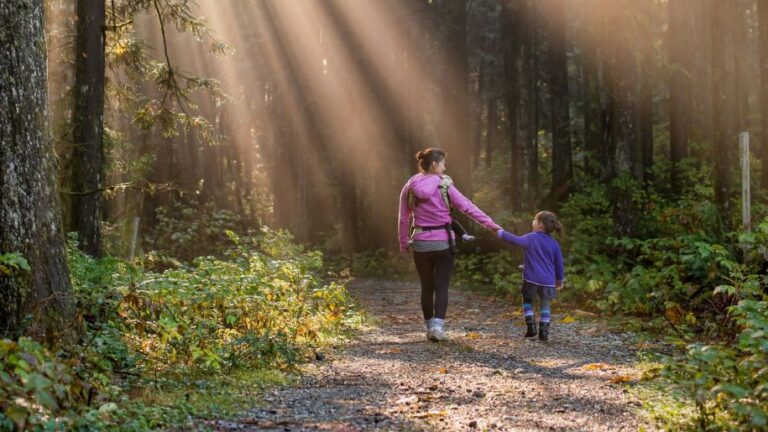 Free Outdoor Family Activities | Lets Go With The Children