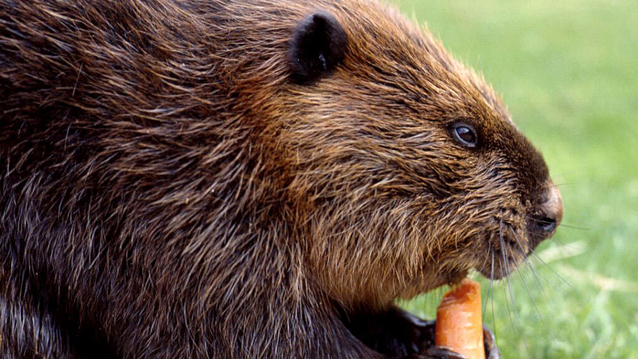 Competitions across the UK | Lets Go With The Children