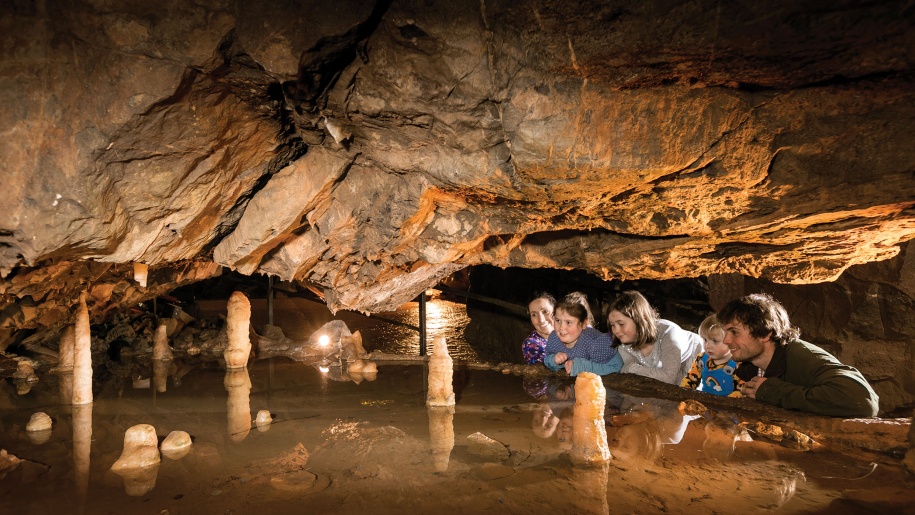 Cheese Cave Somerset At Amber Magoon Blog Cheese Cave Somerset At Amber Magoon Blog