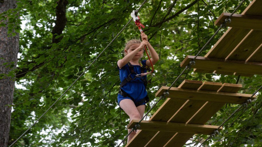 E: 10/07 Win one of TWO family tickets to Holkham Hall and choose from ...