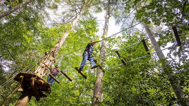 Go Ape! | Lets Go With The Children