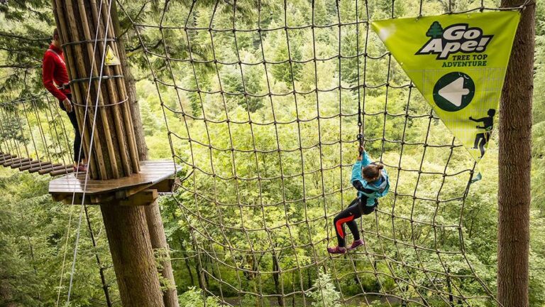 Go Ape! | Lets Go With The Children