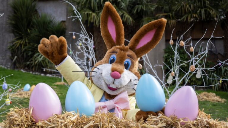 Top Easter Family Days Out! | Lets Go With The Children