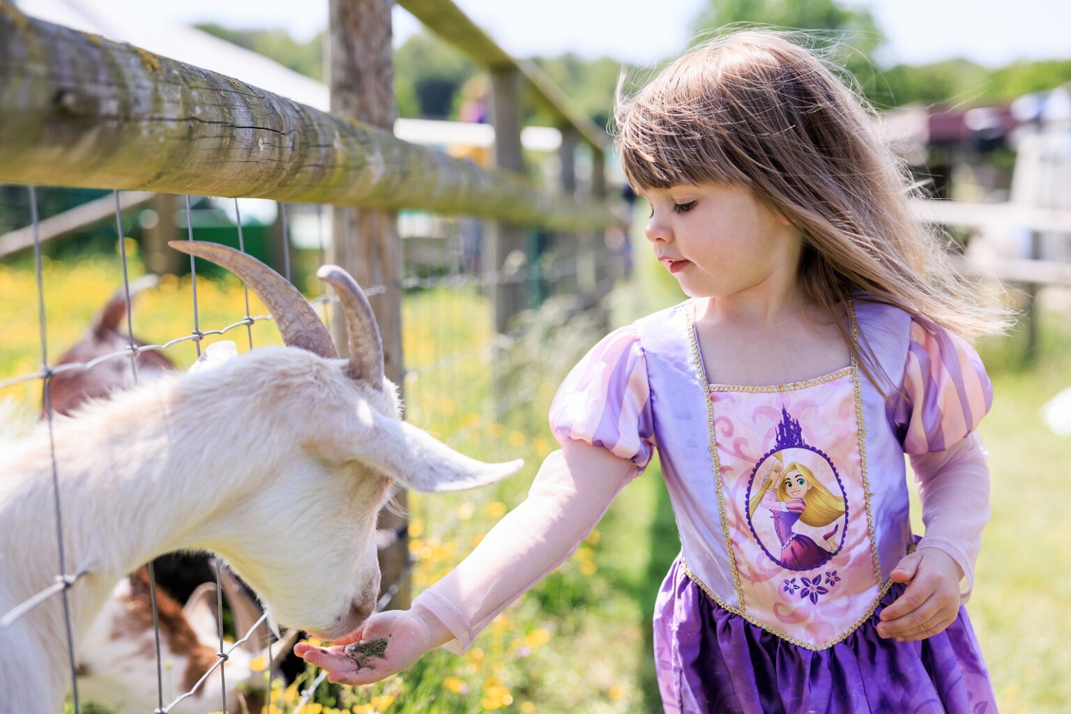 Mega May Half Term | Lets Go With The Children