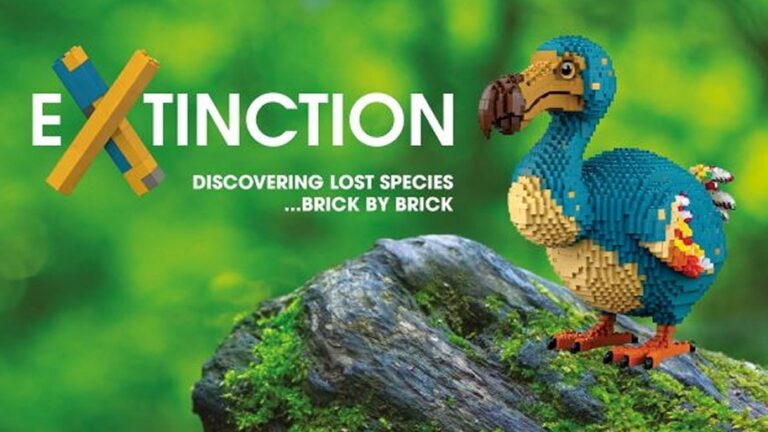 Summer Fun For All The Family | Lets Go With The Children