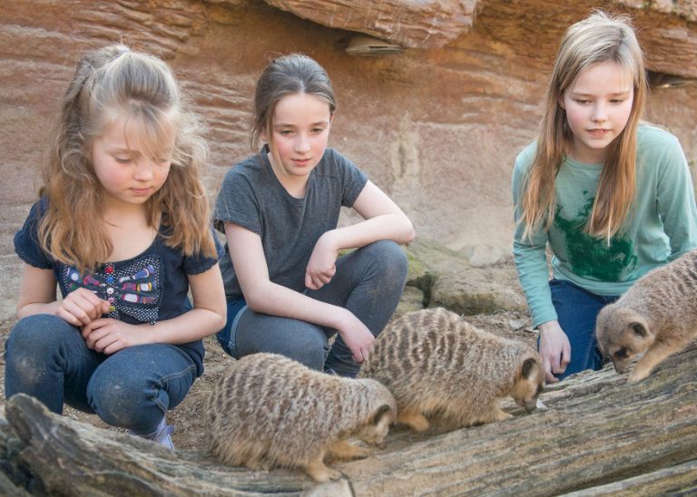 Camps, Clubs, Classes & Courses | Lets Go With The Children