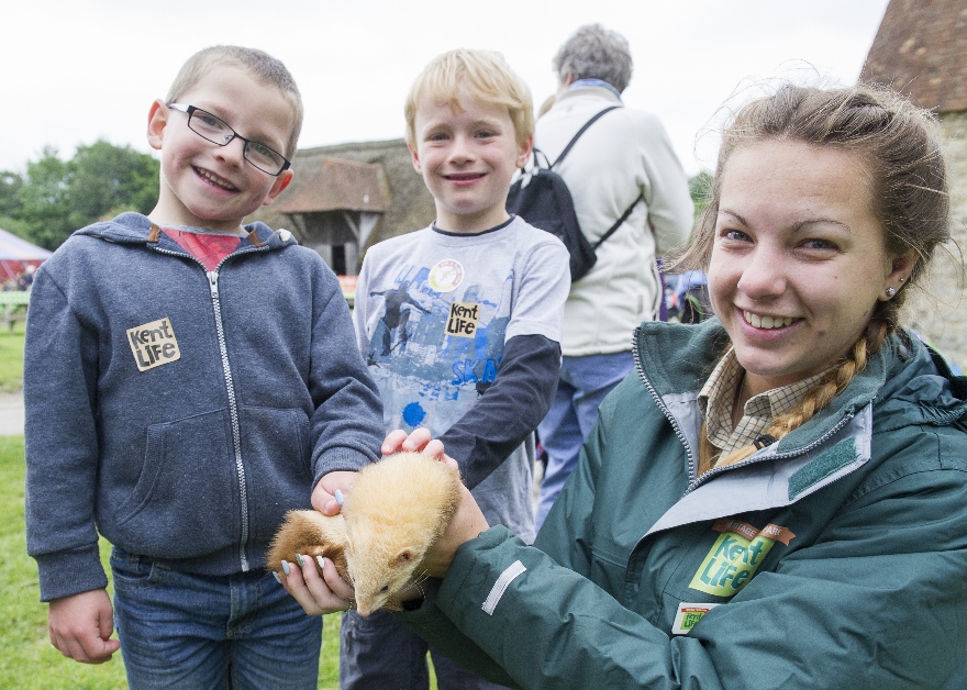 Kent Life Heritage Farm Park - Places to go | Lets Go With The Children
